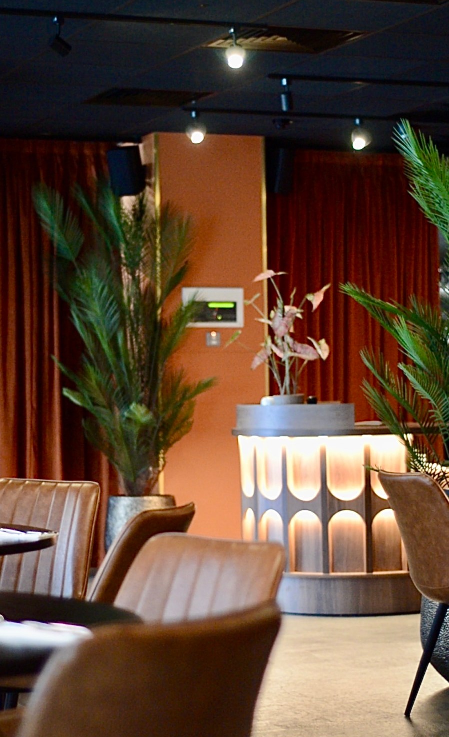 New Opening: The “Cool” Danish Steakhouse, KÖD Soho | My Soho Times ...